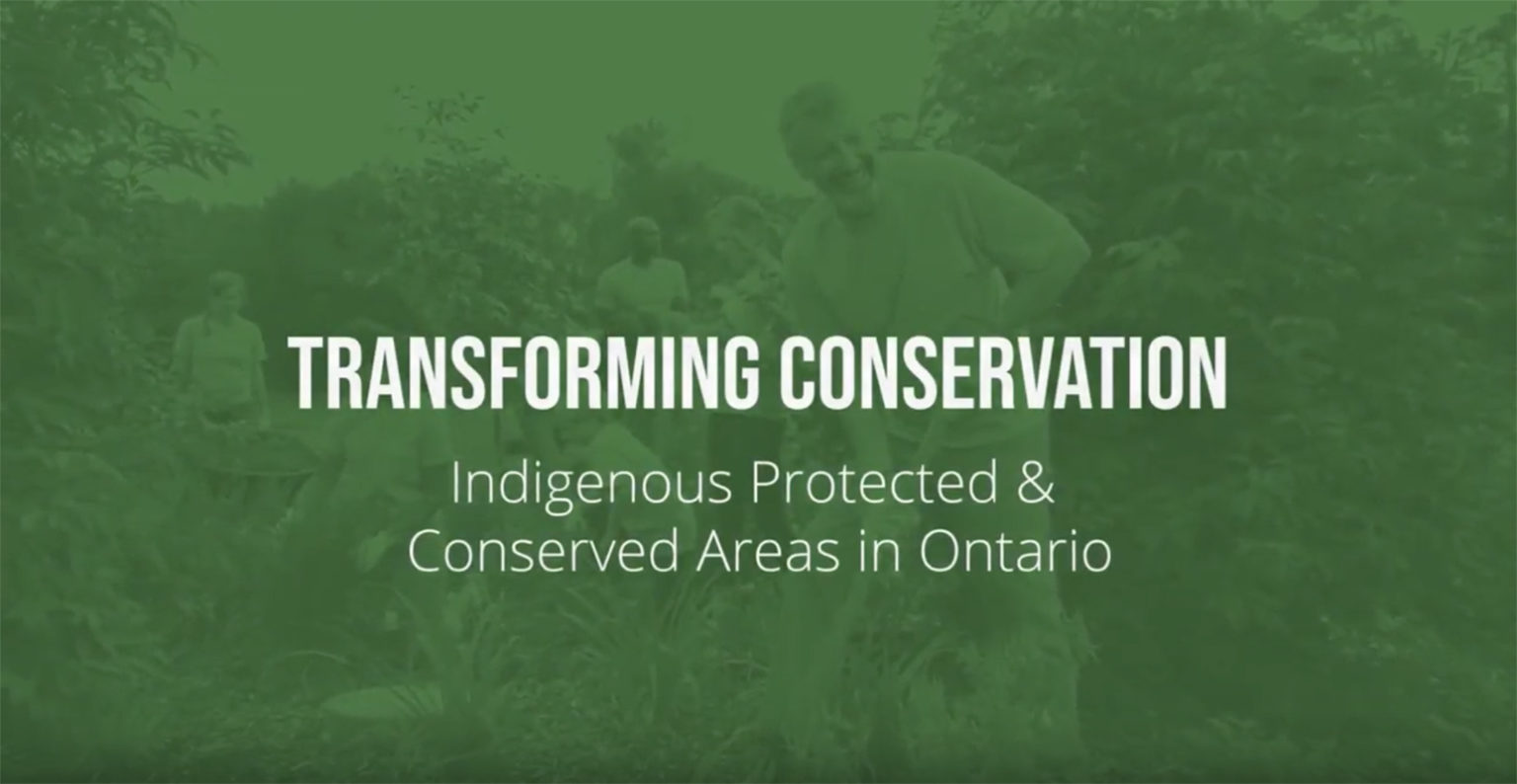 Transforming Conservation: Indigenous Protected and Conserved Areas in ...