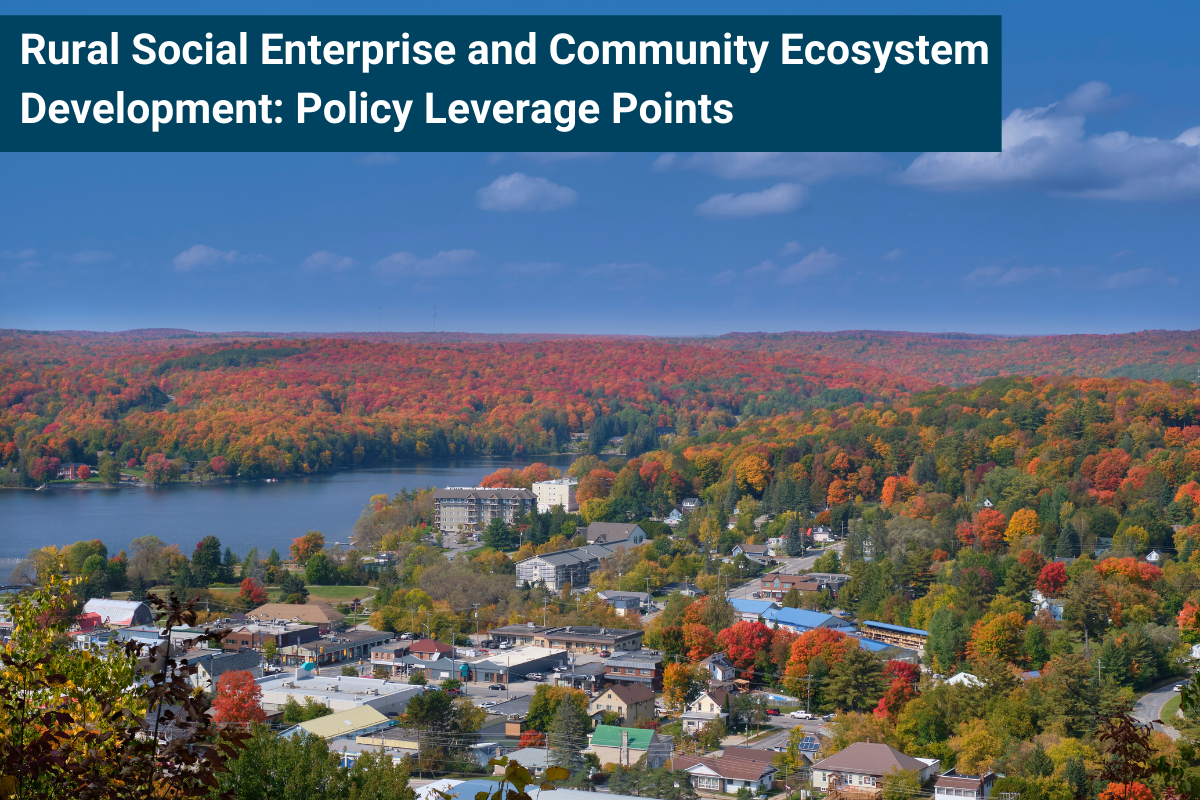 Rural Social Enterprise and Community Ecosystem Development: Policy ...