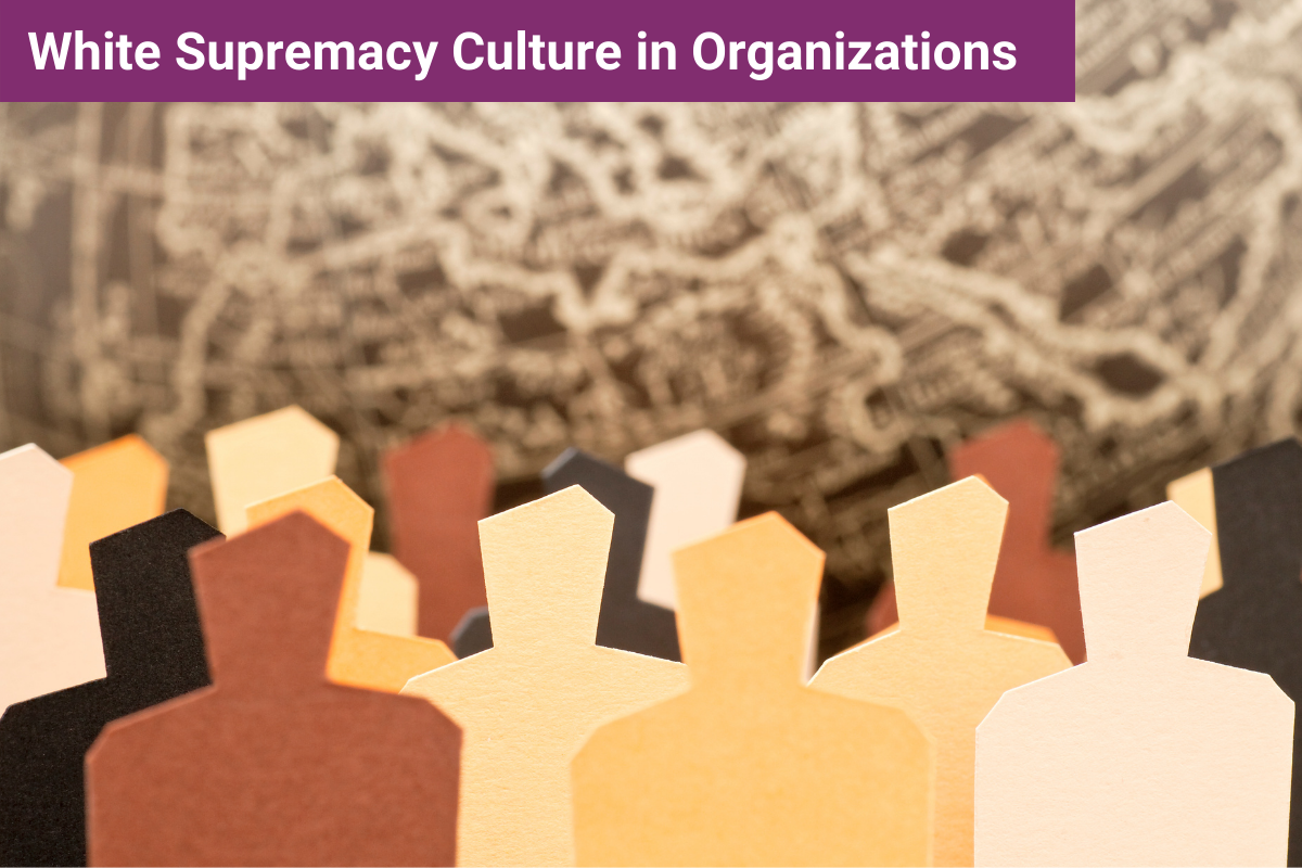 White Supremacy Culture in Organizations | ONN Resource Centre